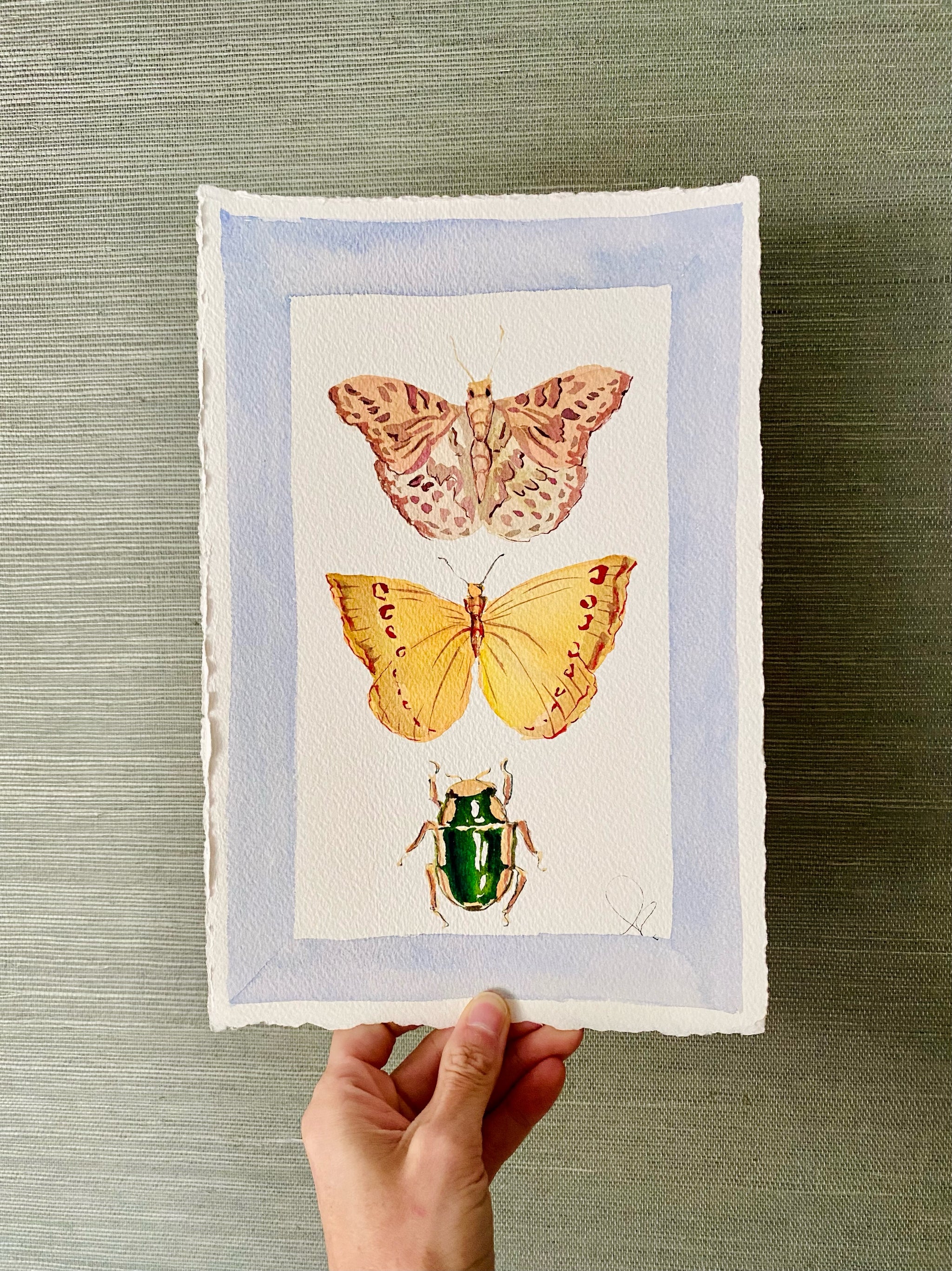 Flutter Bug
