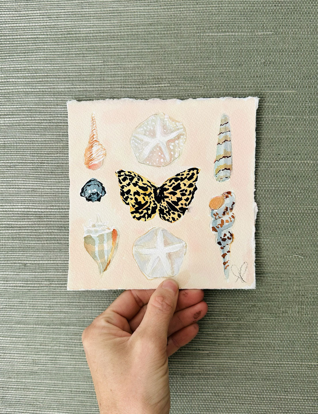 Sea Shell Study No. 5