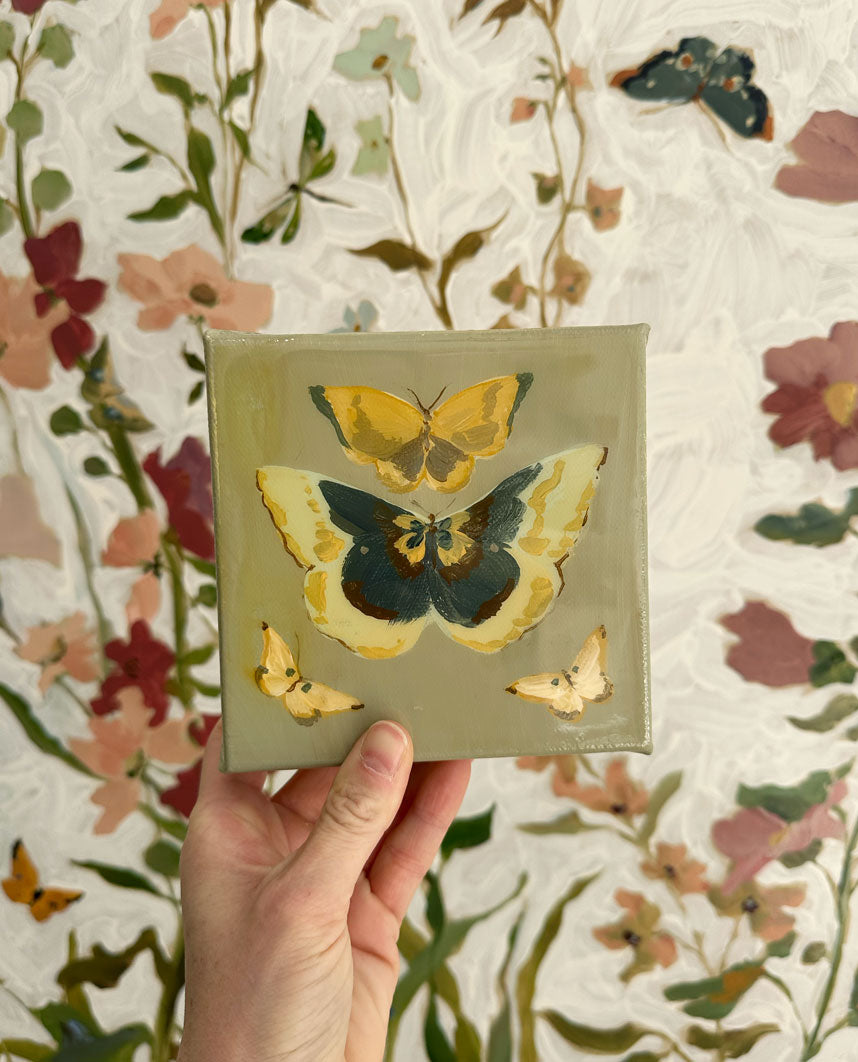 Butterfly Candy No. 1