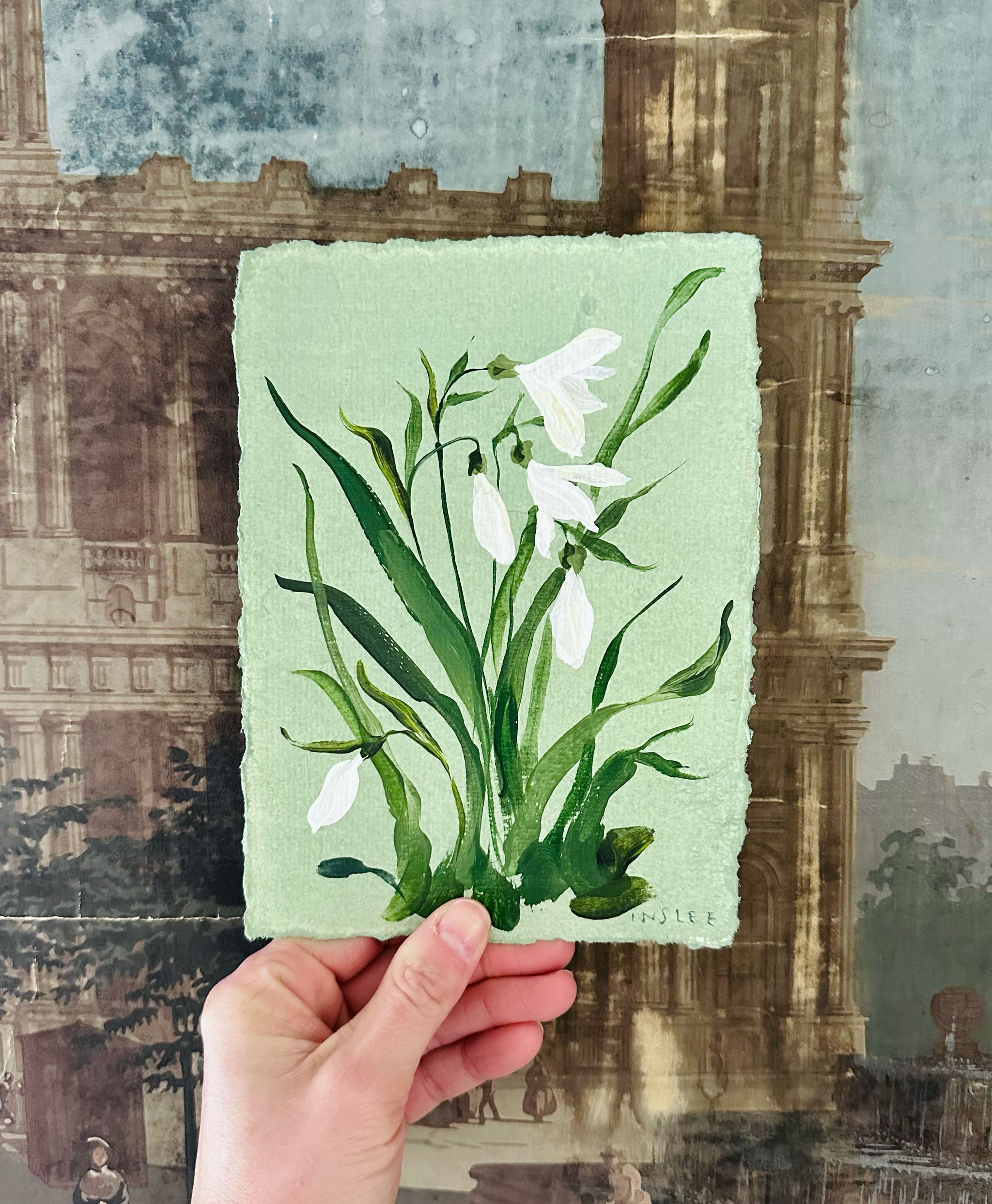January's Snow Drop No. 5