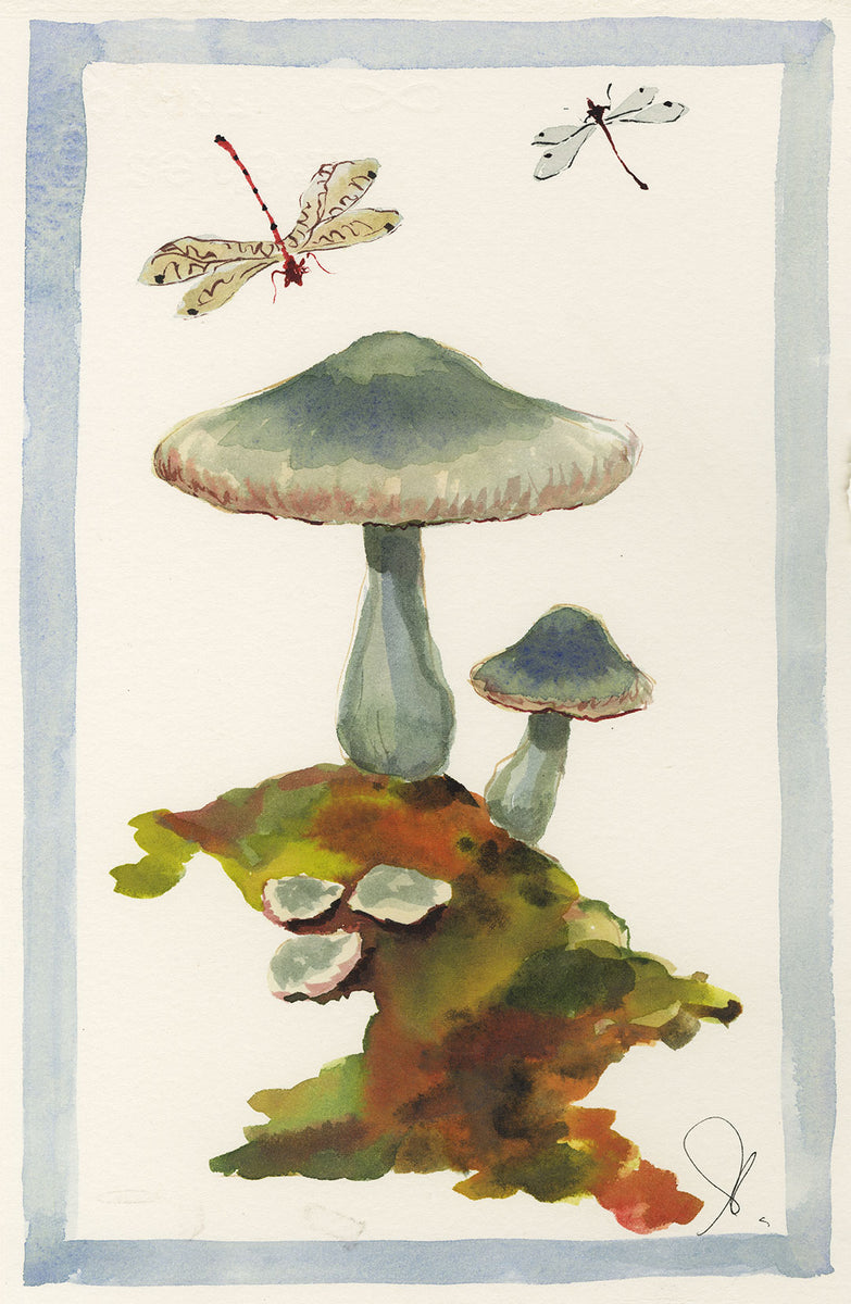 Blue Mushrooms and Dragonfly – Inslee Fariss